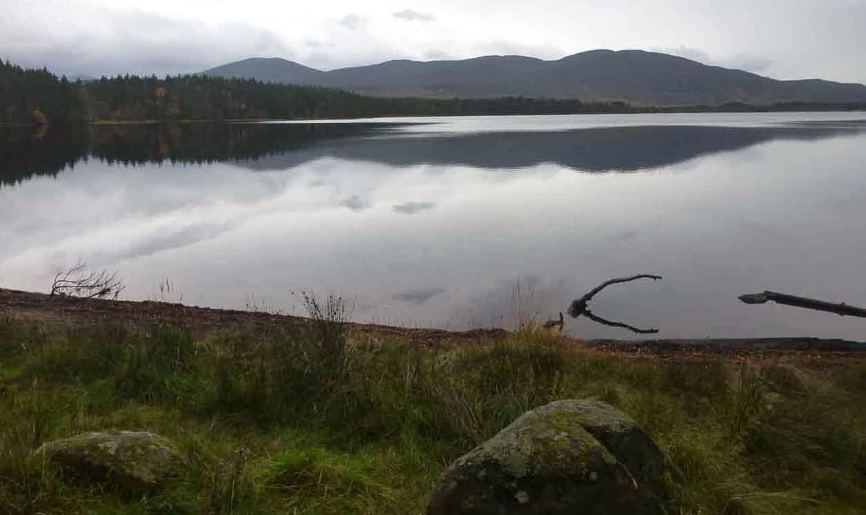 Alex and Bob`s Blue Sky Scotland: Loch Garten Nature Reserve. Abernethy ...