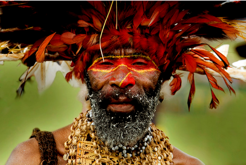 Wild Kingdom: The Brief