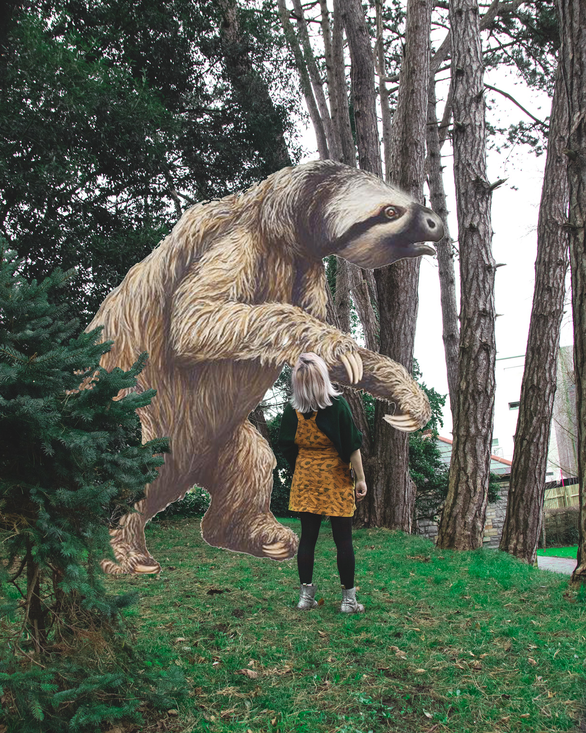 Giant Sloth Compared To Human