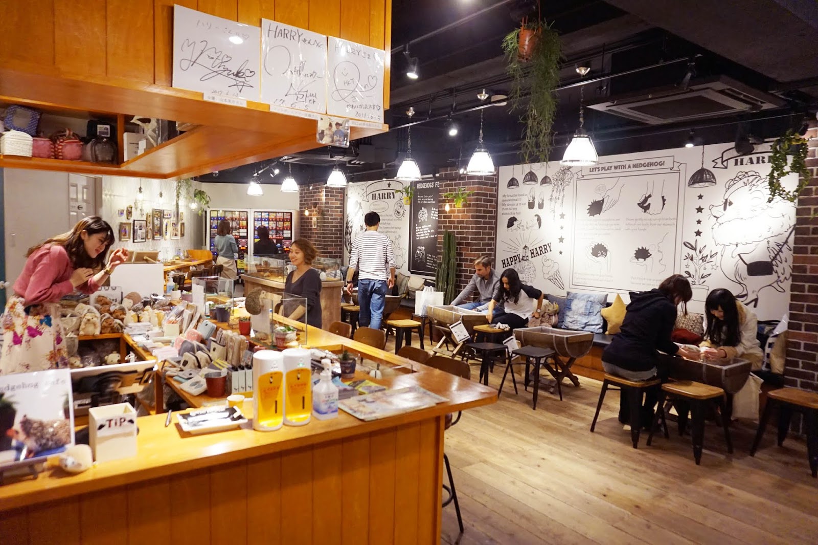 MrsMommyHolic: Tokyo Travel Diaries: Harry Hedgehog Cafe in Harajuku