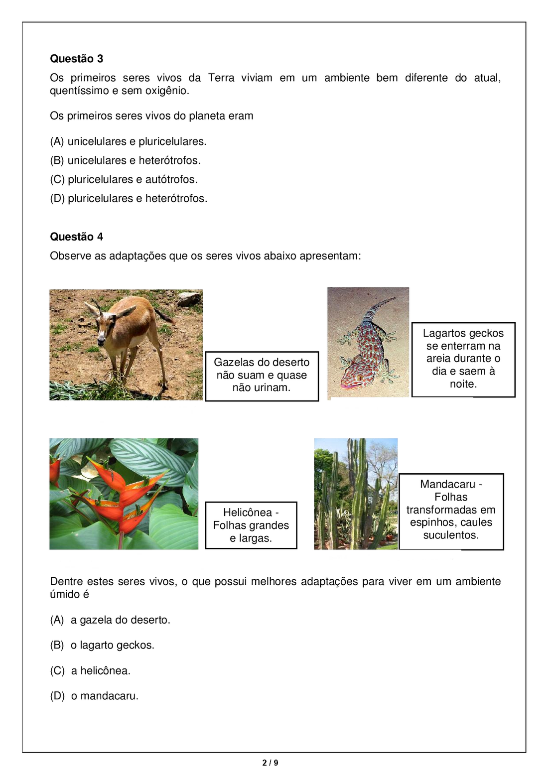 Exercícios Sobre Problemas Ambientais 7o Ano - RETOEDU