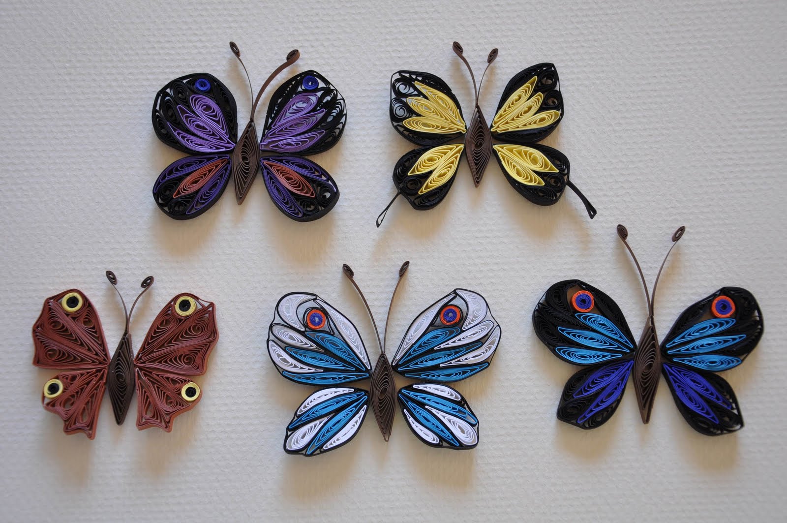 nhipaperquilling: 16/ Paper quilling