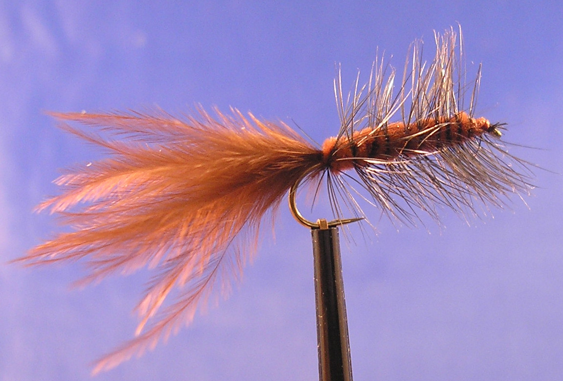 Fly Tyer Man: Wooley Buggers