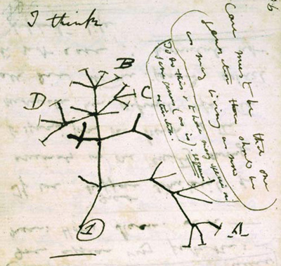 Science teacher: Hand of God, hand of Darwin