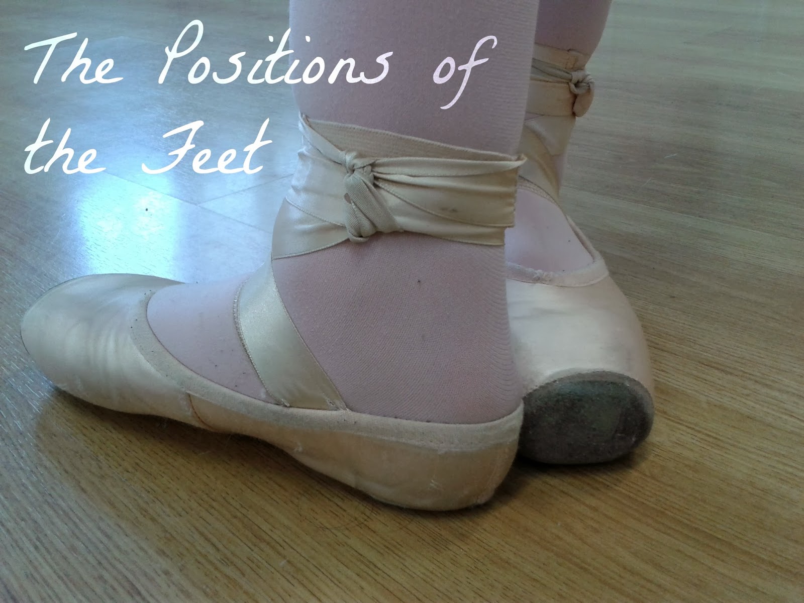 The Nimble Mouse: Ballet Basics: The Positions of the Feet...