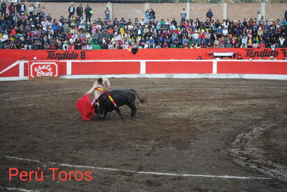 PERÚ TOROS: JAVIER SÁNCHEZ VARA RESULTÓ TRIUNFADOR LA FERIA "SEÑOR DEL ...