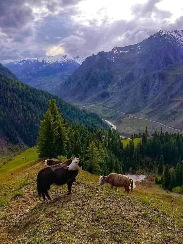 Rainbow lake | Minimarg | Gilgit Baltistan