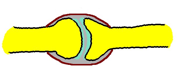 Enorca: Kodėl sąnariai traška, kas tos druskos ir ar verta pirkti ...
