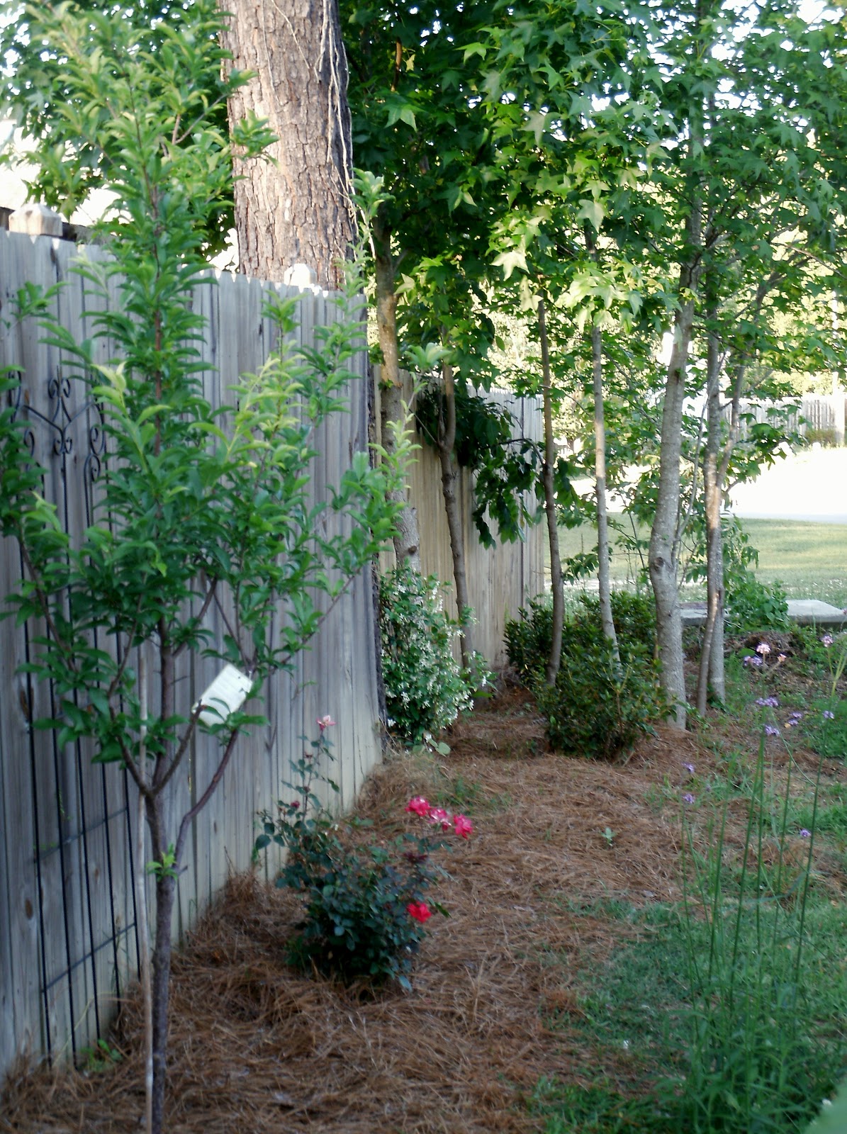 Henny Penny Rose Cottage