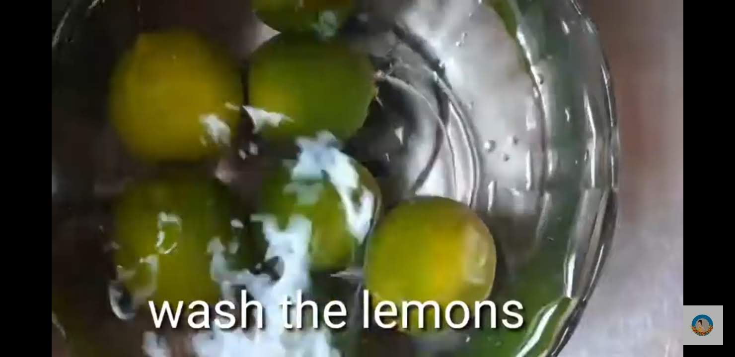 Salty Lemon/Preserved Lemon - FUN FOR YOU