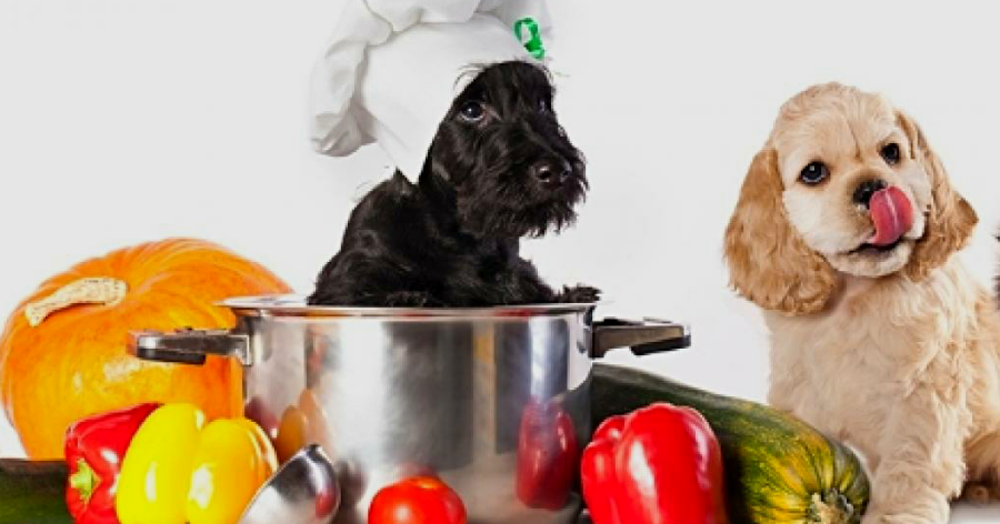 Pets For Saving (AKA pets4saving)