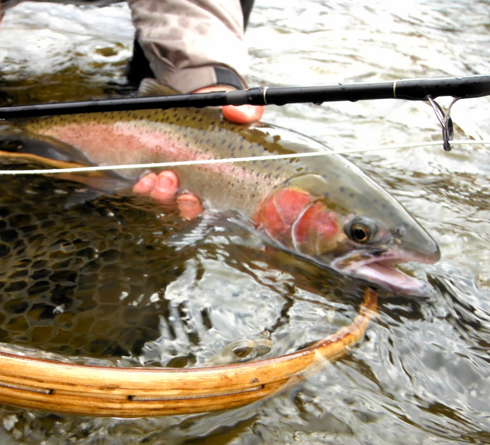 Skinny Waders: A Fly Fishing Blog