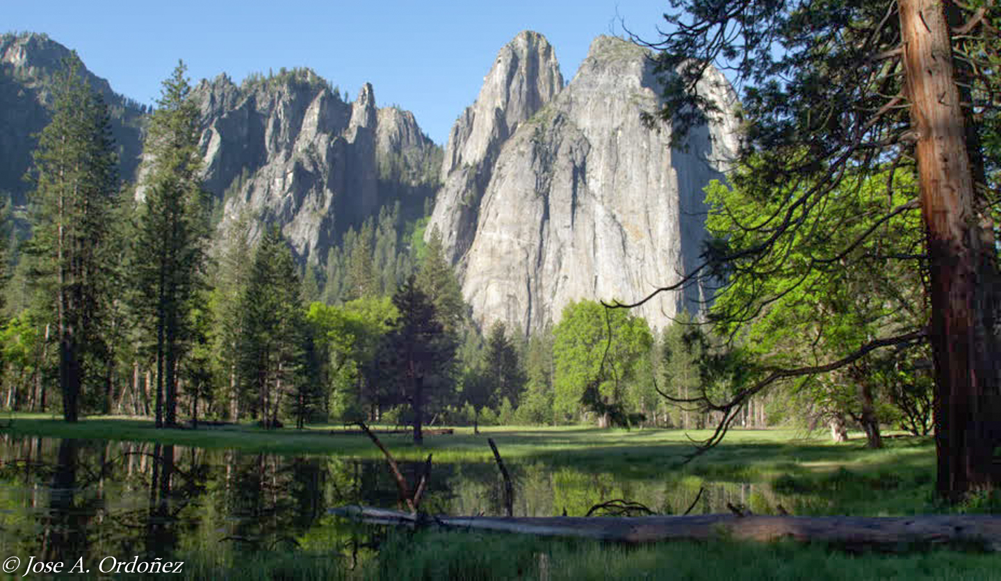El Jardín de la Barrosa: Viajes en el pasado. Visitando los parques ...