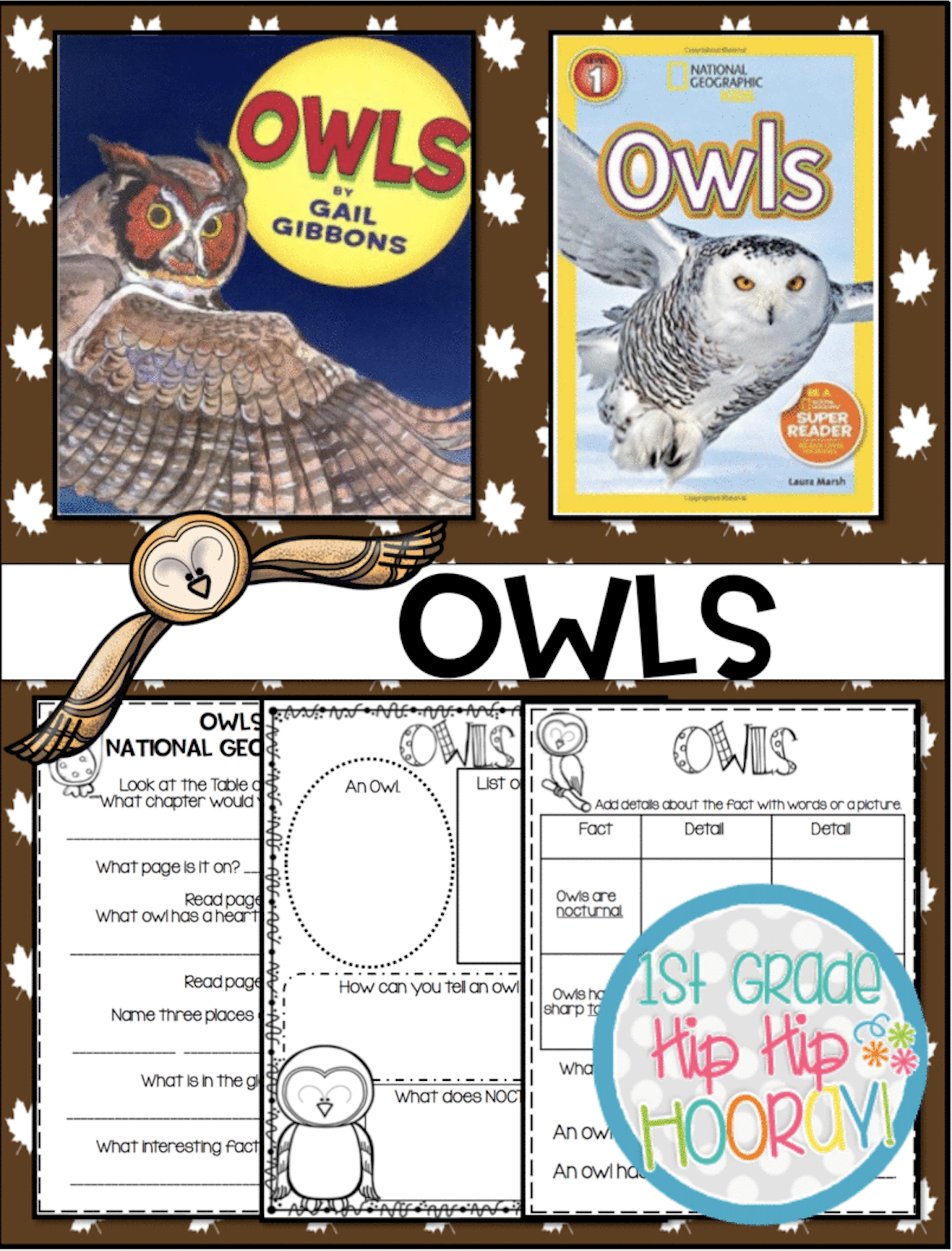 1st Grade Hip Hip Hooray!: Using informational text to research owls!