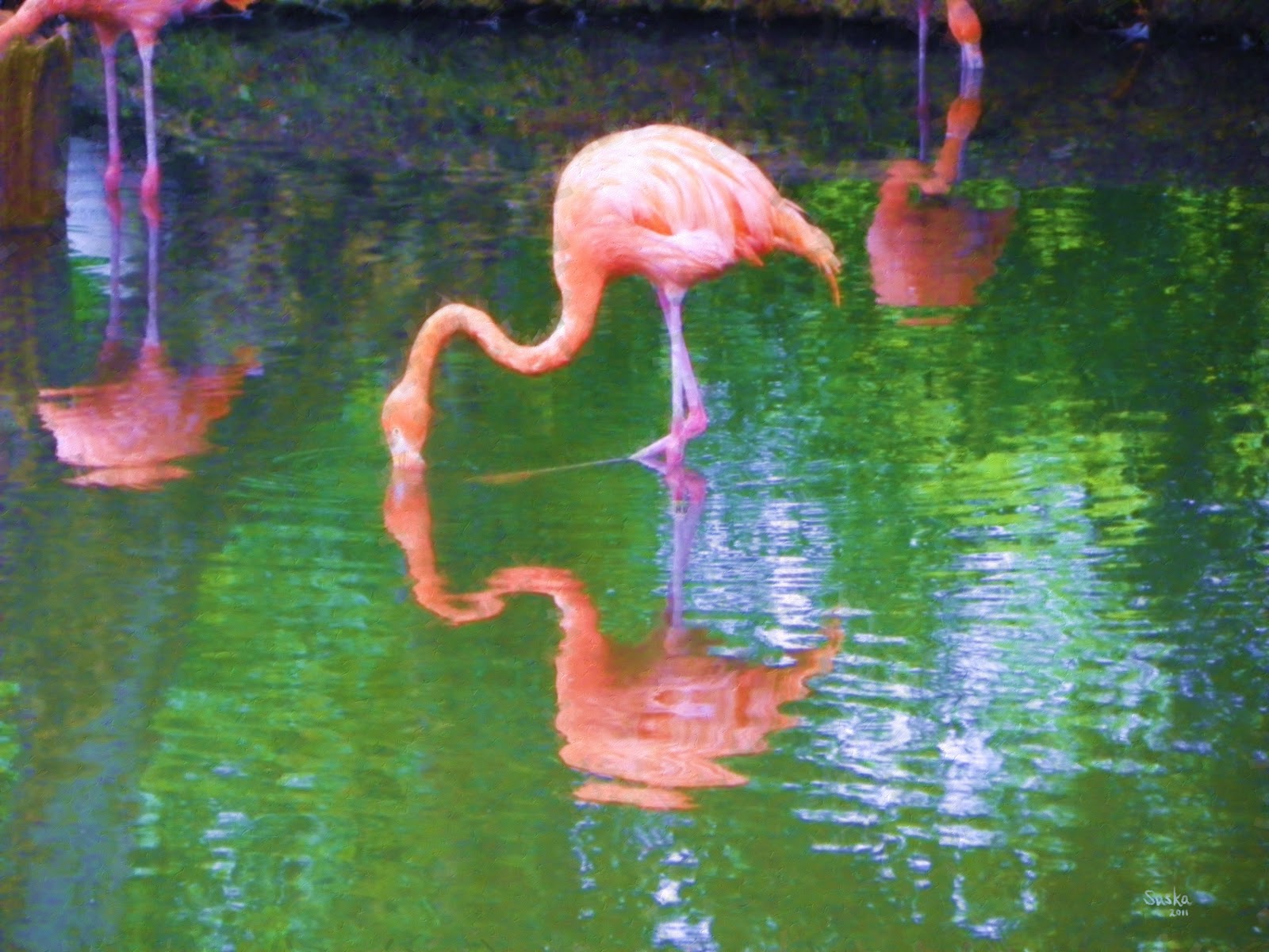 Paintings-of-Artists-Original-Unusual- Art: Painting Of Flamingo Bird ...