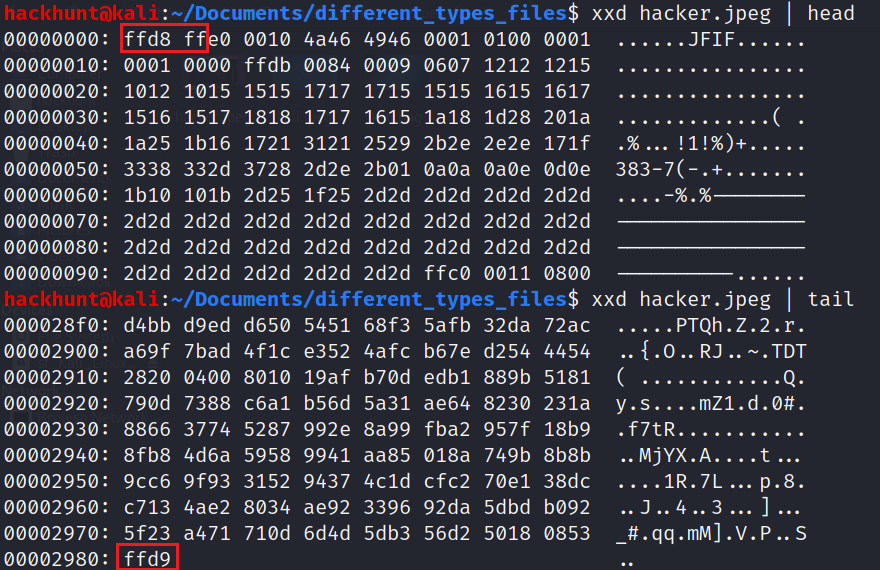 Magic Bytes and Important File Formats | CyberWiki - Encyclopedia of ...