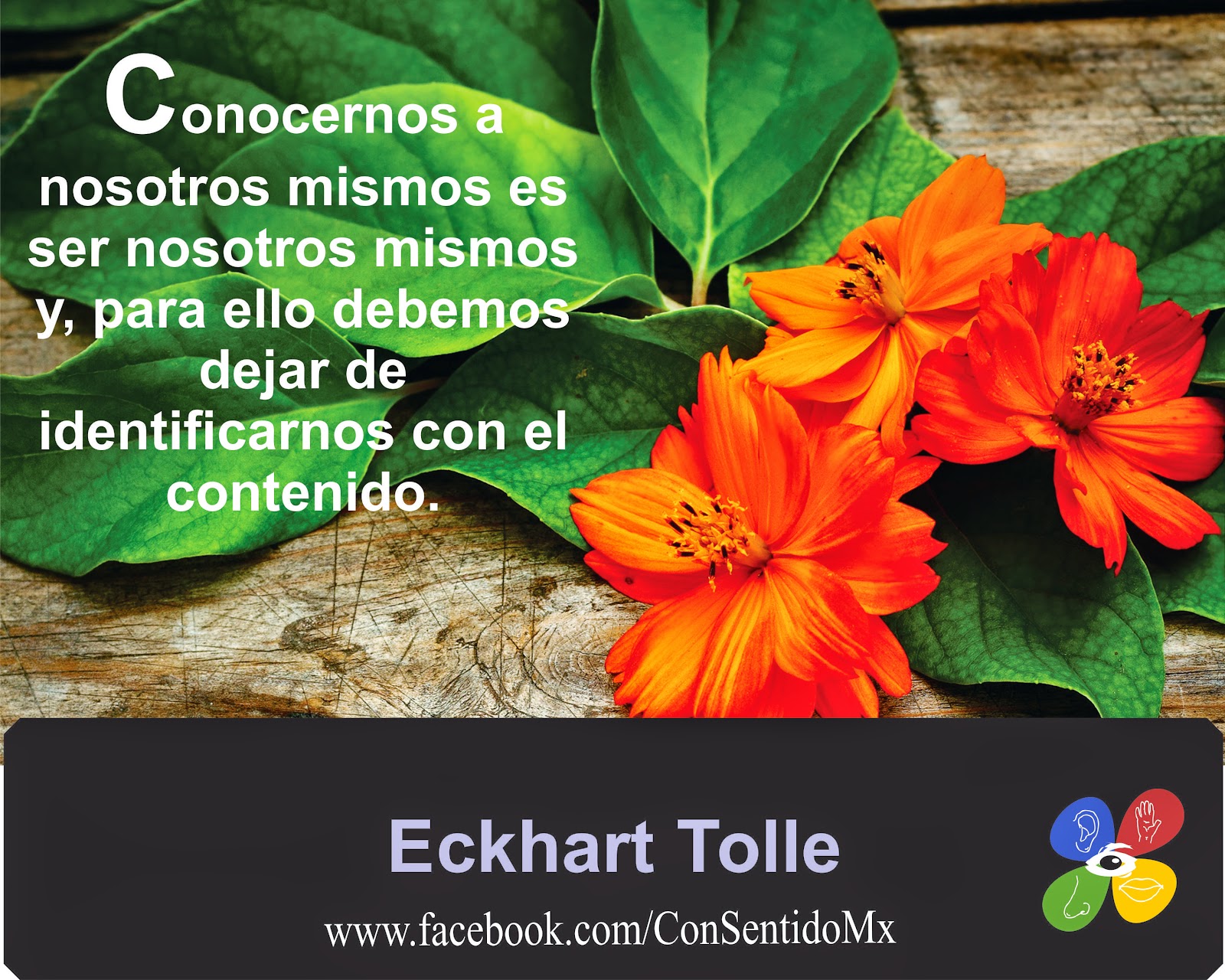 conSentido: CONOCERNOS O SABER SOBRE NOSOTROS