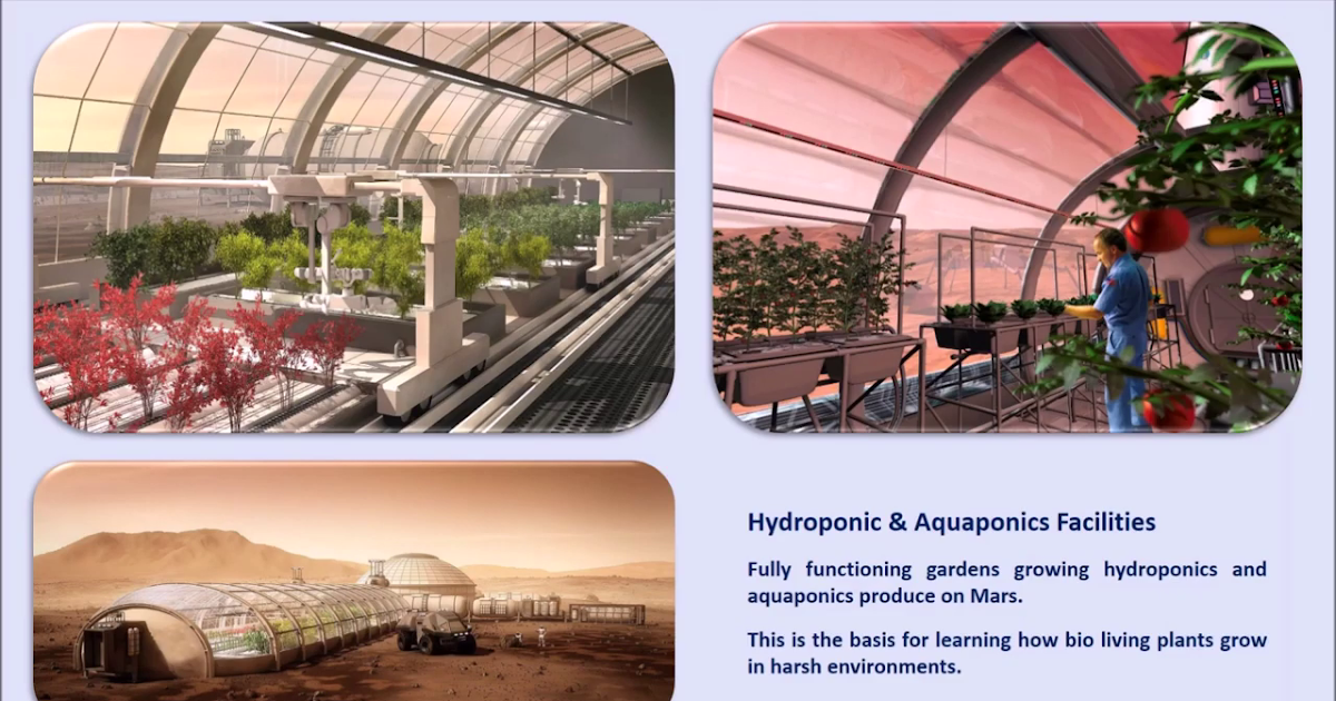 HYDROPONICS & AQUAPONICS FACILITIES. Fully functioning gardens growing ...