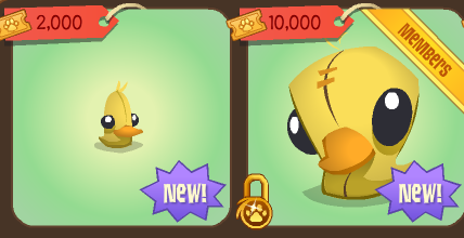 Animal Jam Community Blog: Duck Plushies