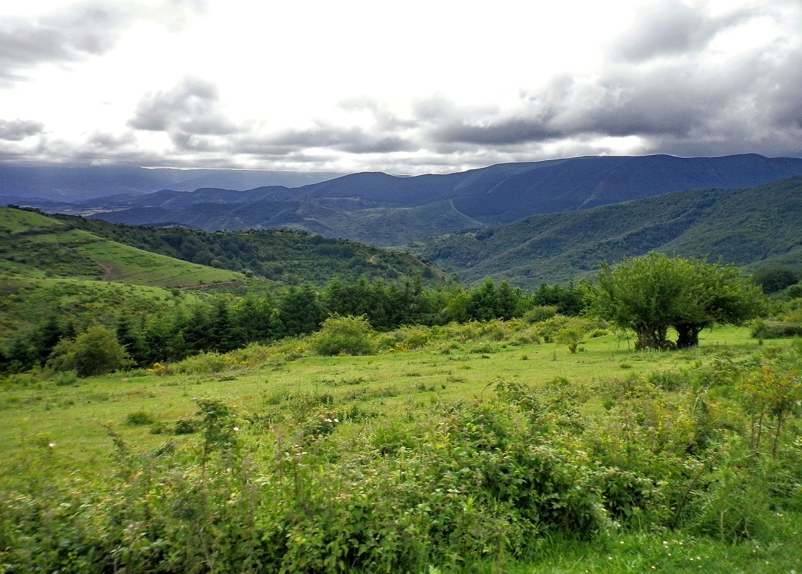 TRACKSRIOJA: Cañas-La Fonfría-Ezcaray-Cañas--BTT