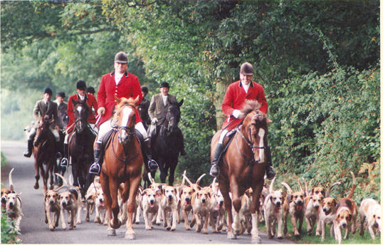 Sound Year 2: Fox Hunting