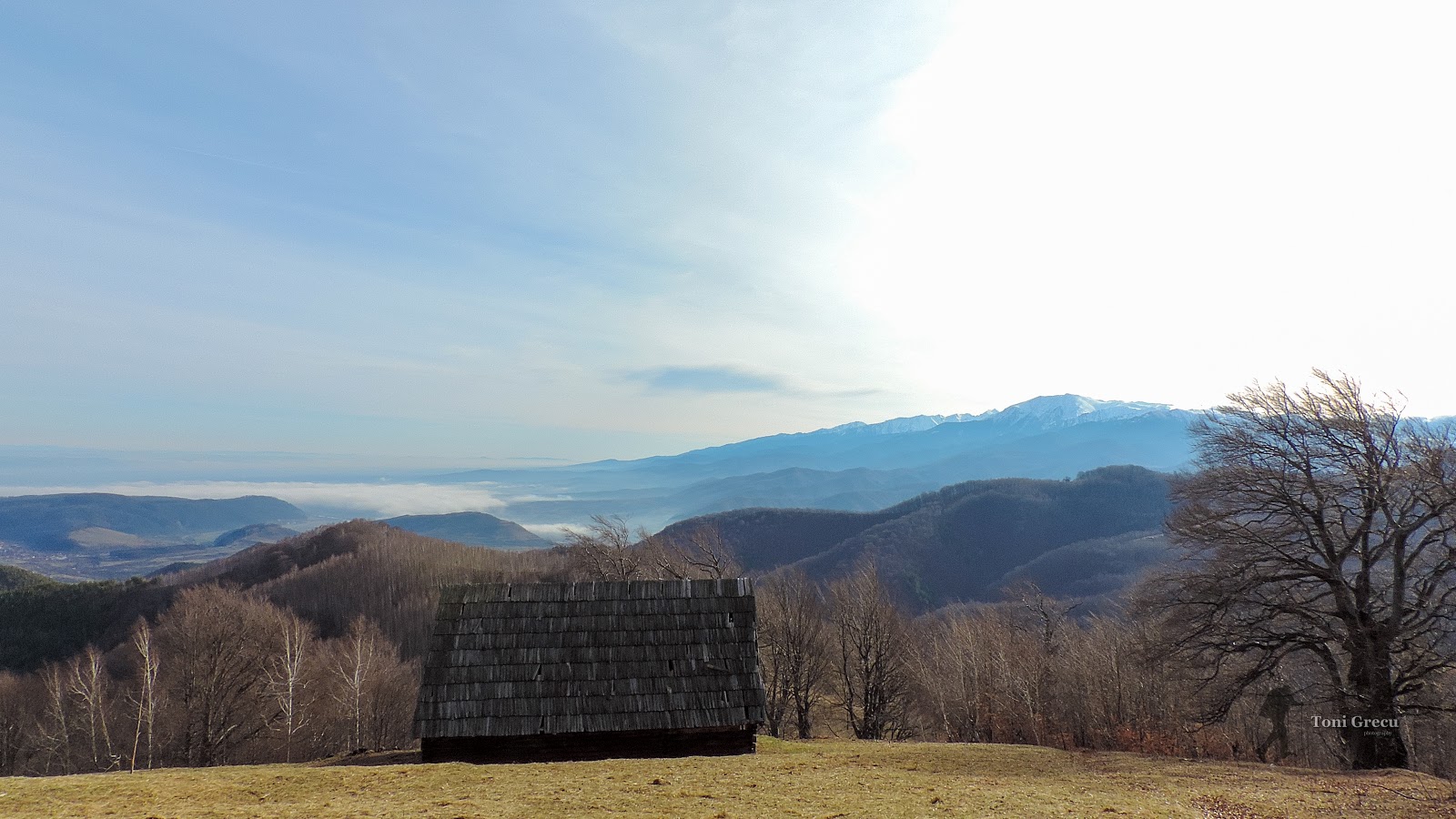 Vârful Prejba 1744 m - Muntii Lotrului ~ Jurnal de drumeții
