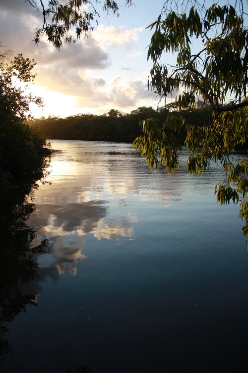 Essences of Photography: Annan River