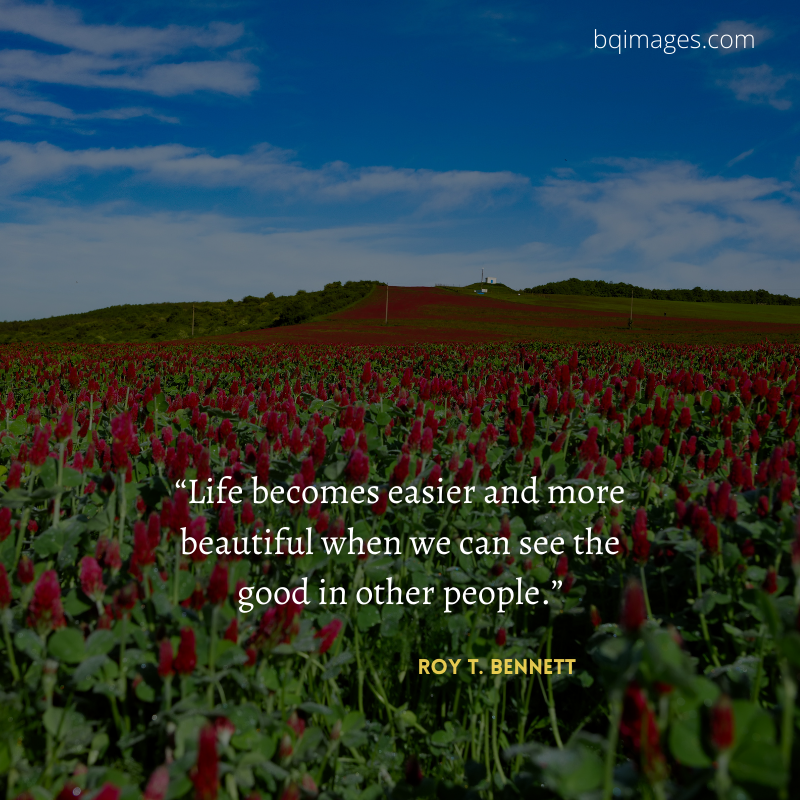 50 Best Life Quotes In English For WhatsApp DP Bqimages Beautiful 50-best-life-quotes-in-english-for-whatsapp-dp-bqimages-beautiful