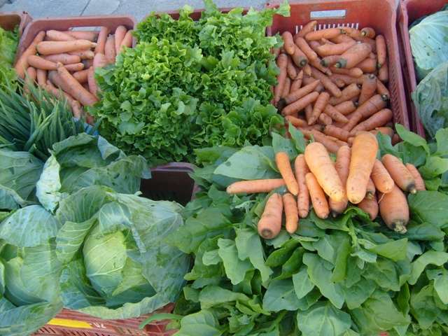 Jovem Aprendiz Rural - Nhandeara 2012: Matéria (Olericultura)