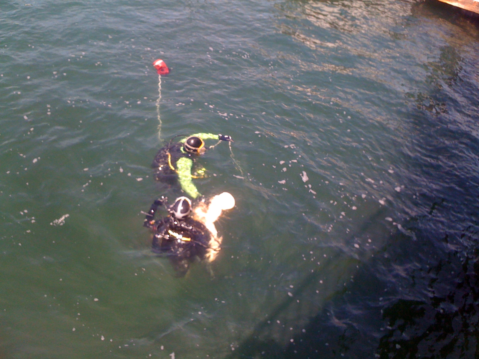 LAFD- Dive Search and Rescue Team: Dive Training