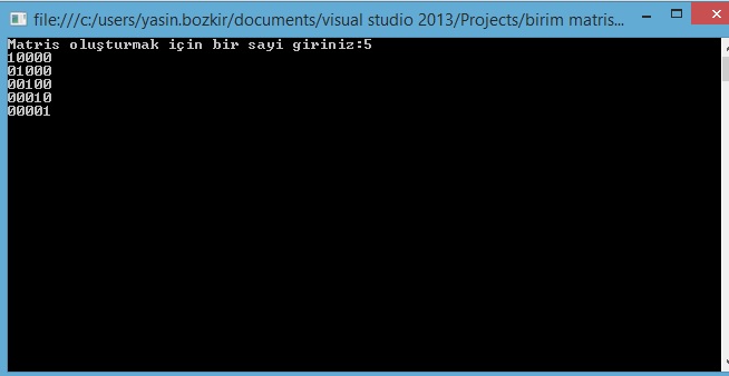 Welcome to YB10's world: C# Birim matris oluşturma
