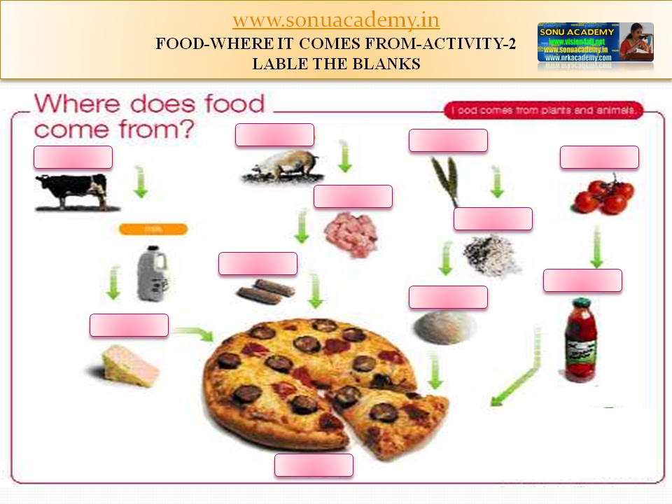 SONU ACADEMY: FOOD- WHERE IT COMES FROM-ACTIVITIES