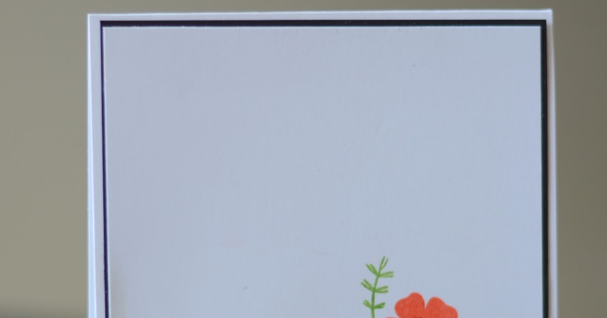 The Mango Boys and Me: Curtain Call: Thank You