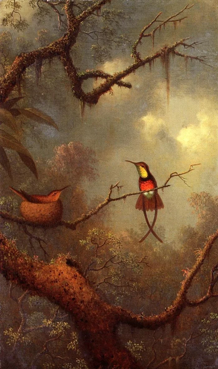 Martin Johnson Heade | Pittore Luminista | Masterpieces of Art