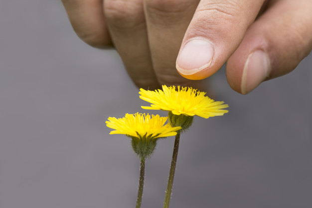 Lliane Holistic Massage: A importância do Toque