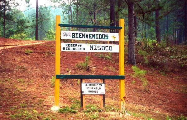 La Reserva Biológica Misoco ~ Honduras