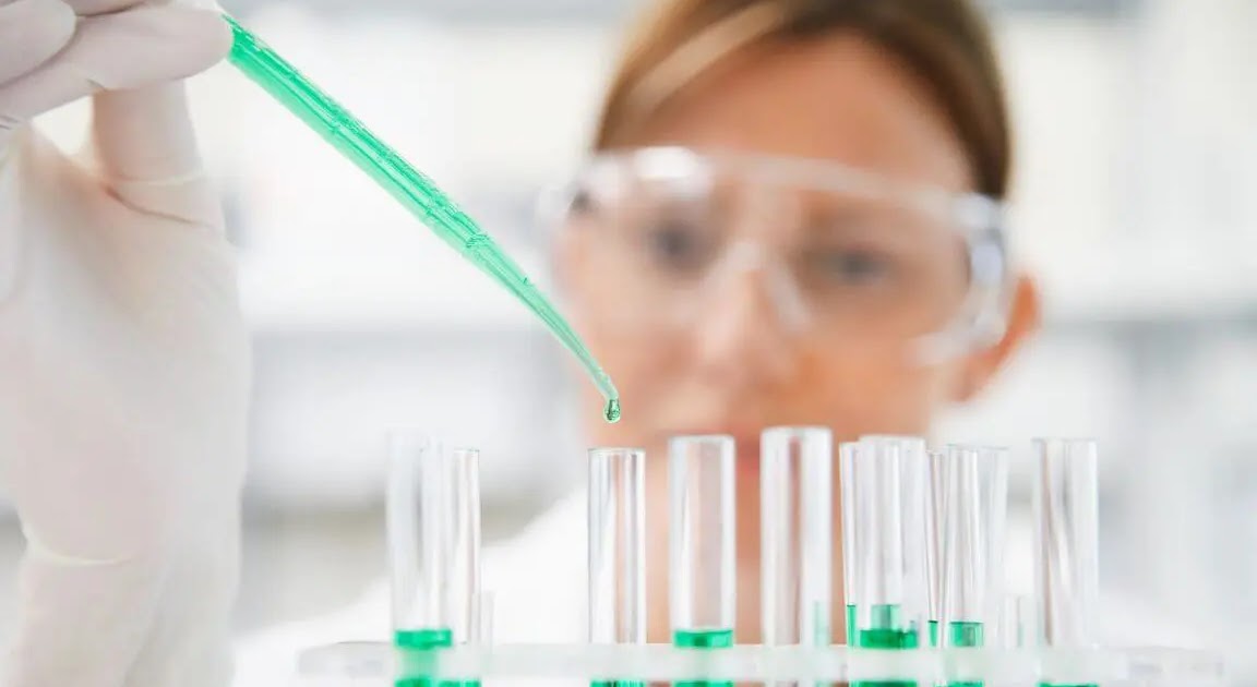 Proyecto de Ide - Biofisica - Maria Jiron: Fase de Experimentación (1)