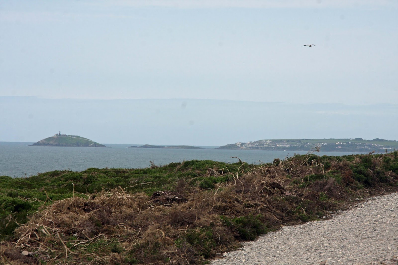 A Walk in Knockadoon