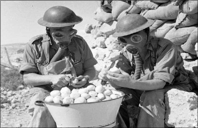 Know Your Onions ~ A Dead Good Blog