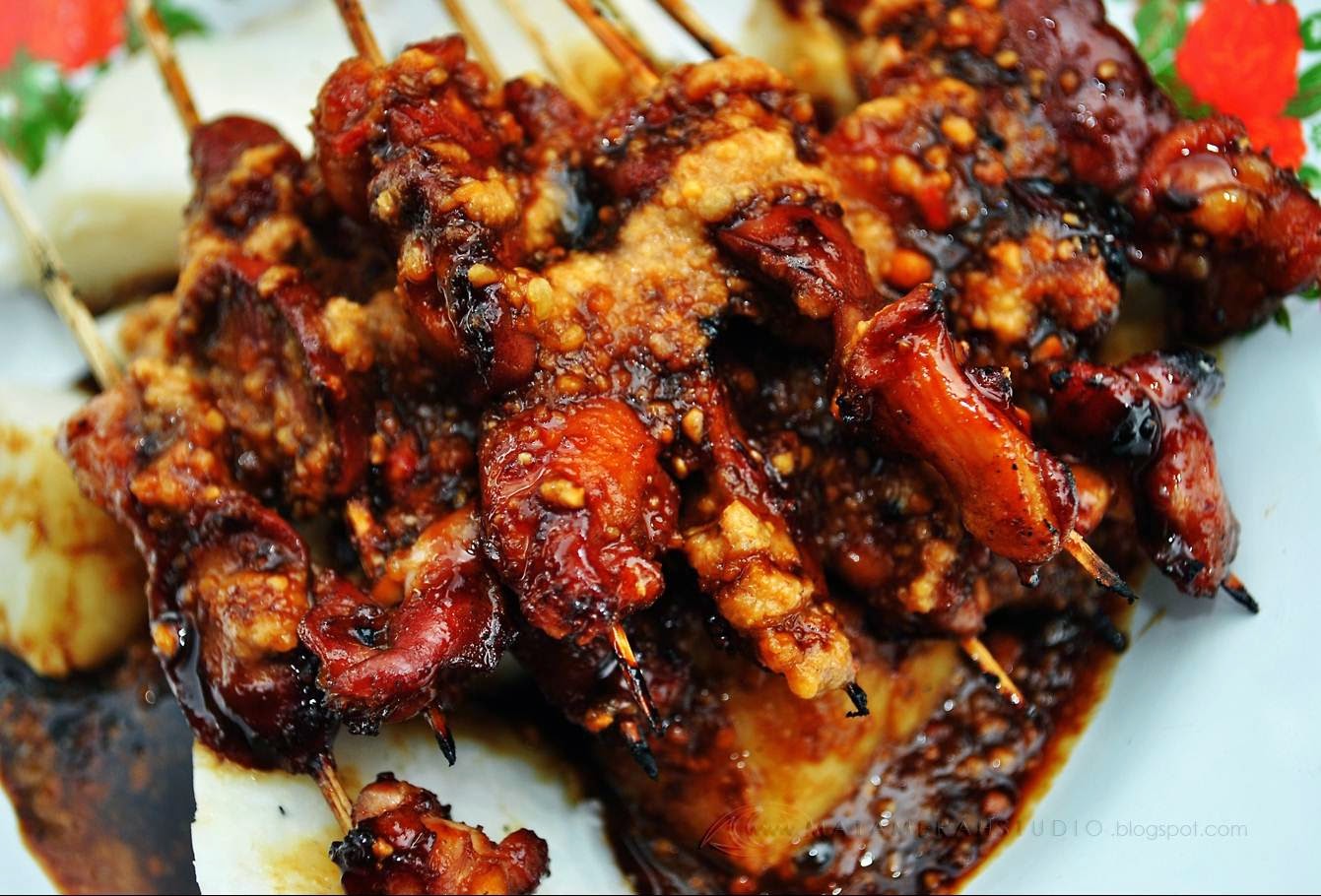 EGA DEVA: Various Kinds of Sate ( Satay ) in Indonesia