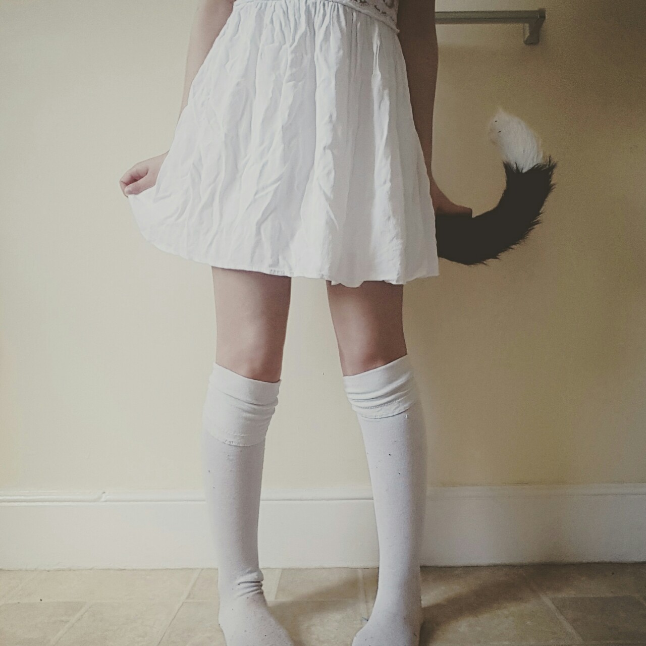 Kitten Play Portugal ♡: Dicionário Kitten Play