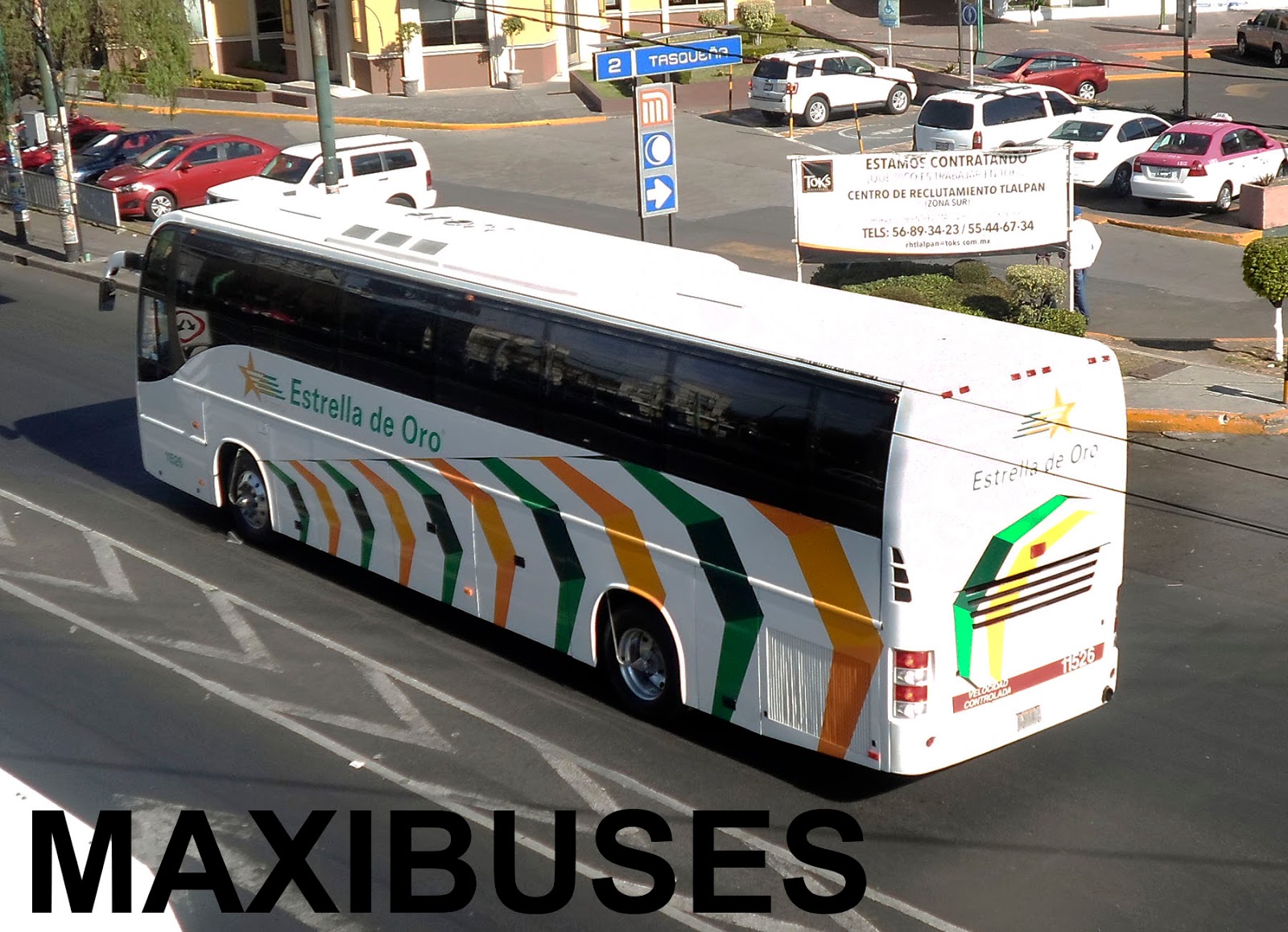 MAXIBUSES: ESTRELLA DE ORO PRIMERA - NUEVA CROMÁTICA