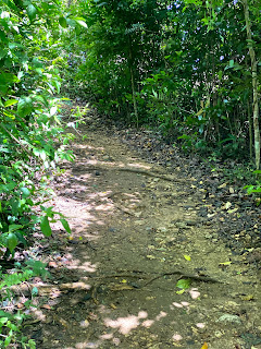 de aquí pa'llá, de allá pa'cá: Manantial de Guayaney, Manatí