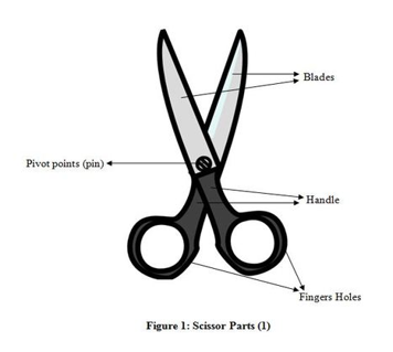 Life Lessons from Scissors