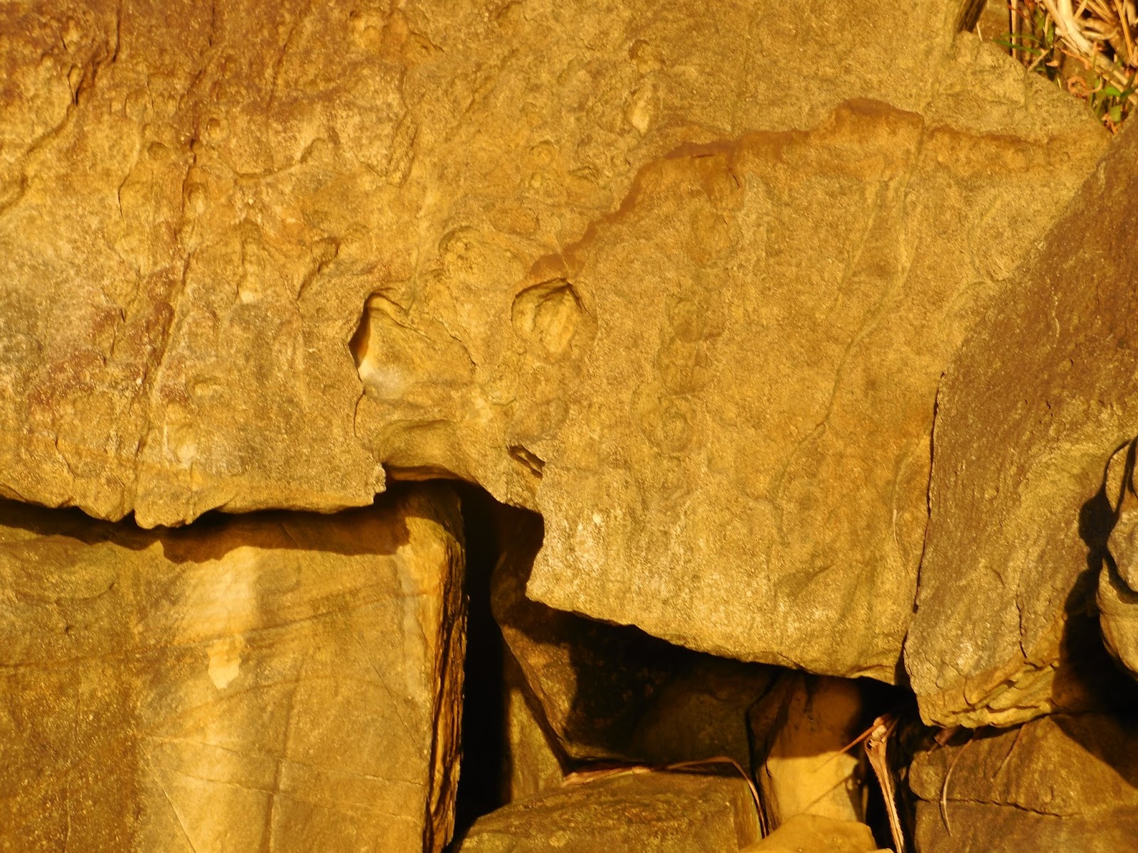 The Great Sphinx of Palawan and Tabon Man: Ancient image challenge #1