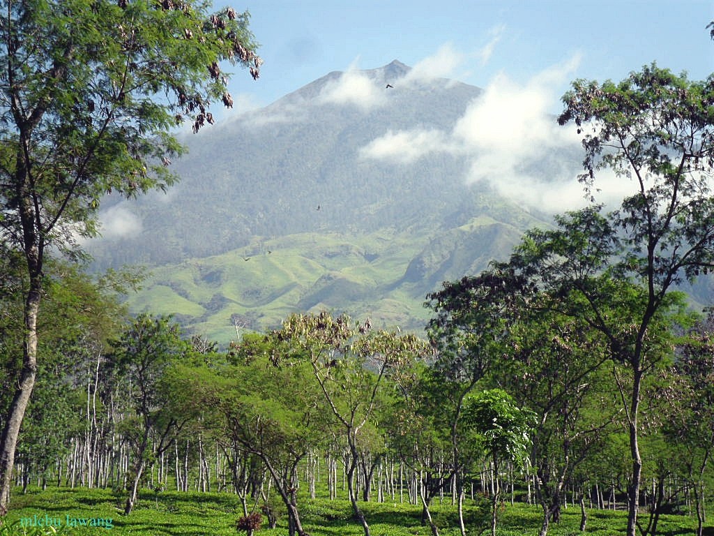 asli LAWANG kab MALANG: TEMPAT WISATA