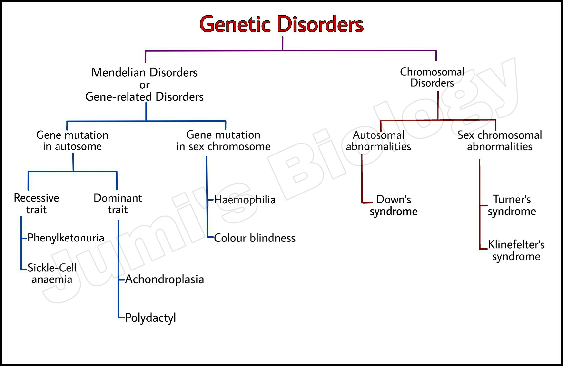 Genetic Disorders ||Class 12 Biology