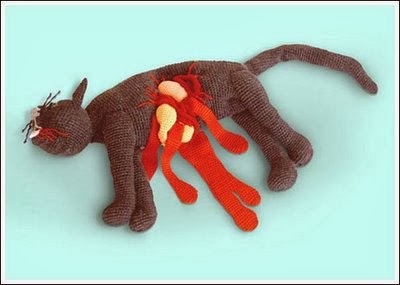 Extreme Funny Pictures Album: Dead Cat Toy