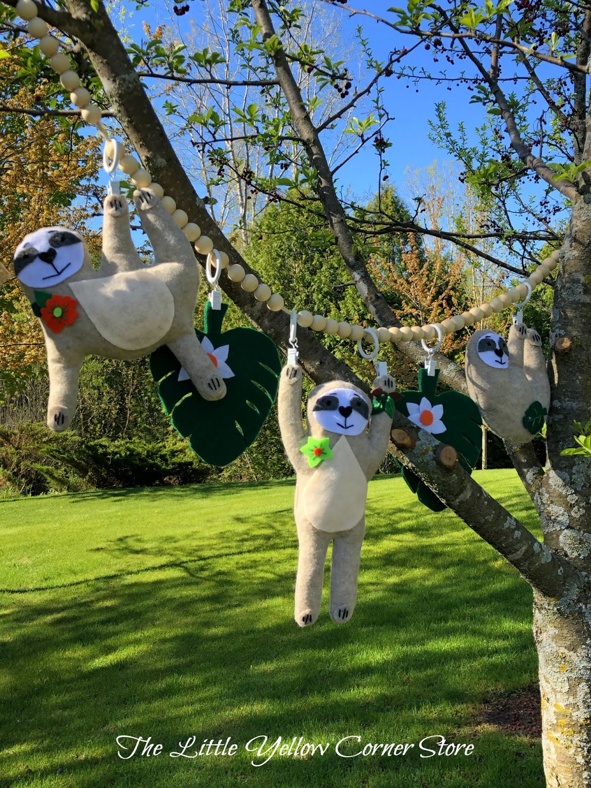 The Little Yellow Corner Store: Hanging With The Sloths