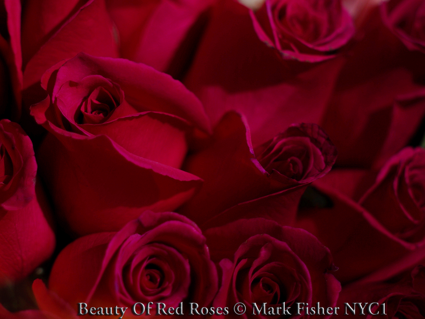 The People For The People: The Beauty Of Red • American Photographer ...